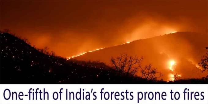 2019 Forest Survey of India report: one-fifth (21.40%) of India’s ...